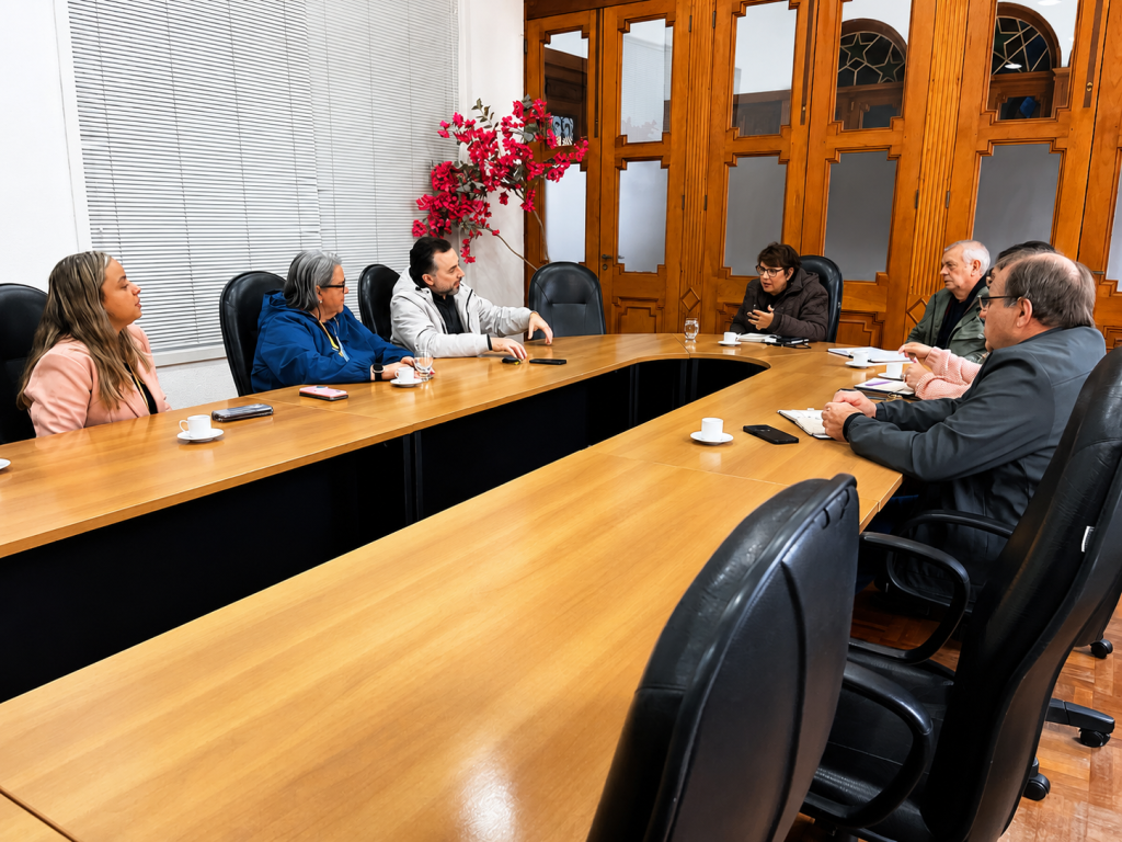 Executivo é apresentado a consultoras da CEEE Equatorial que passam a ...